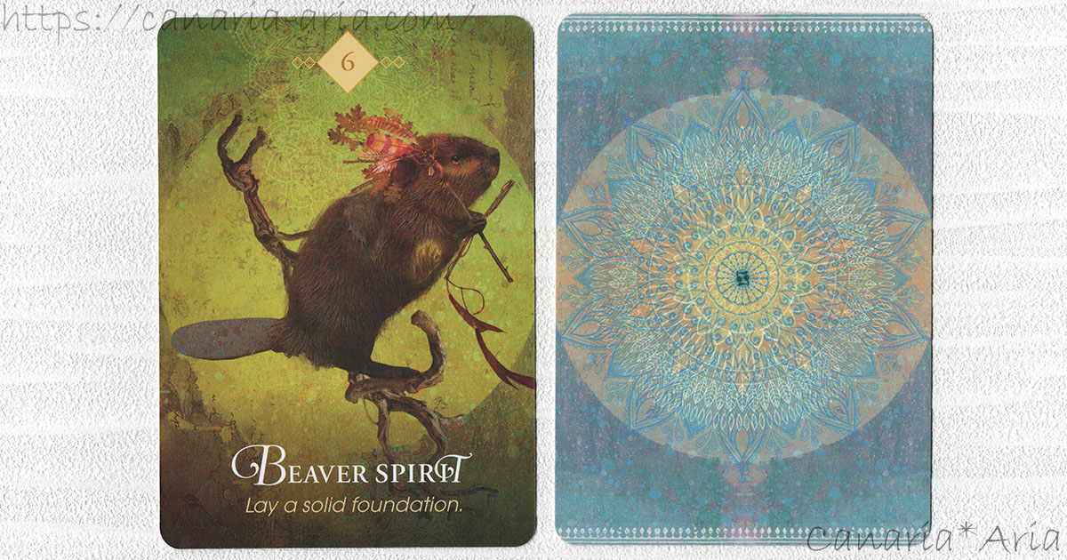 6.Beaver SPIRIT（ビーバーのスピリット）スピリットアニマルオラクル のメッセージ | カナリア＊アリア