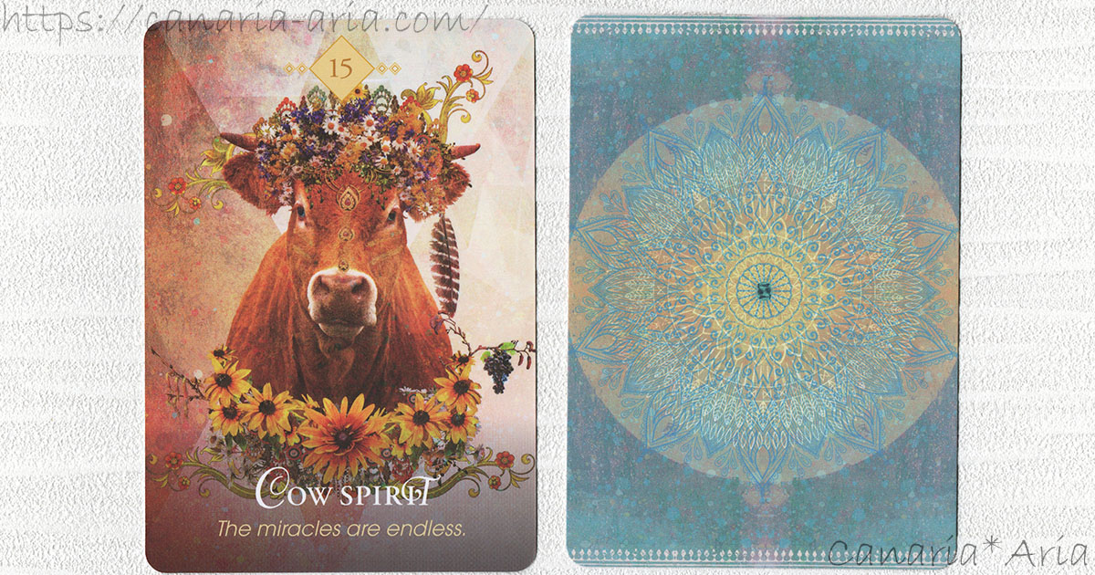 15.Cow SPIRIT（雌牛のスピリット）スピリットアニマルオラクル のメッセージ | カナリア＊アリア