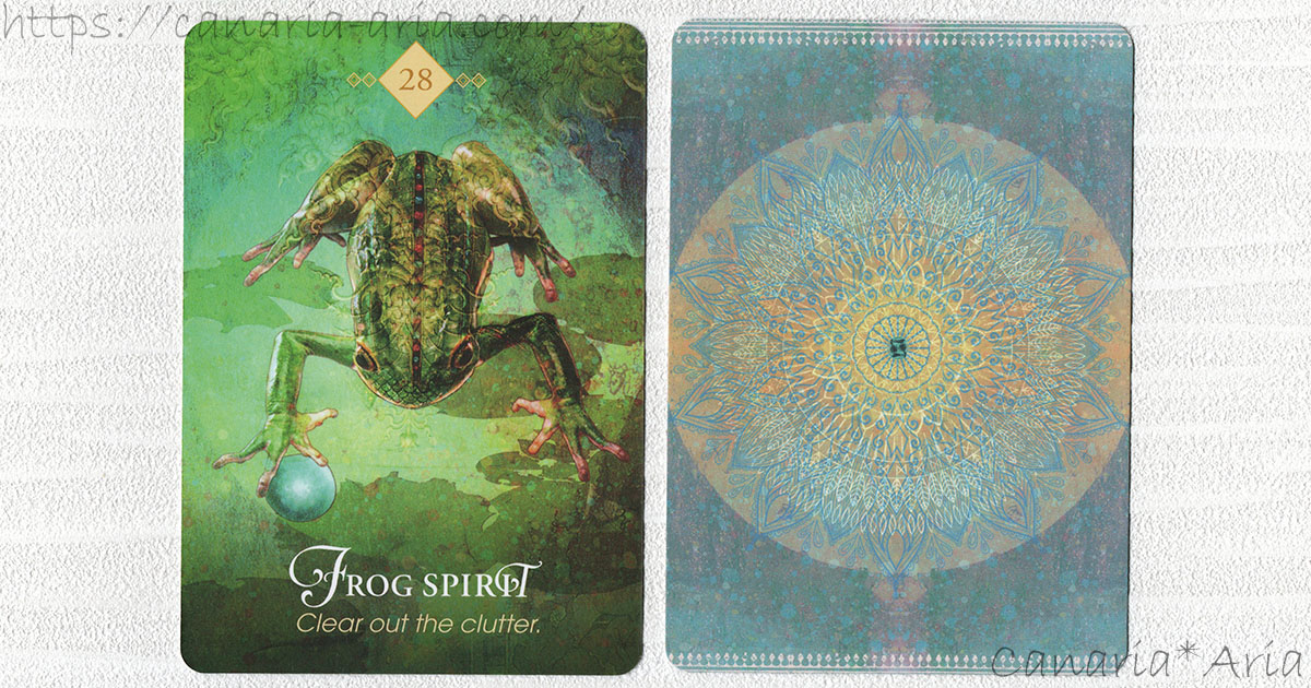 28.Frog SPIRIT（カエルのスピリット）スピリットアニマルオラクル のメッセージ | カナリア＊アリア