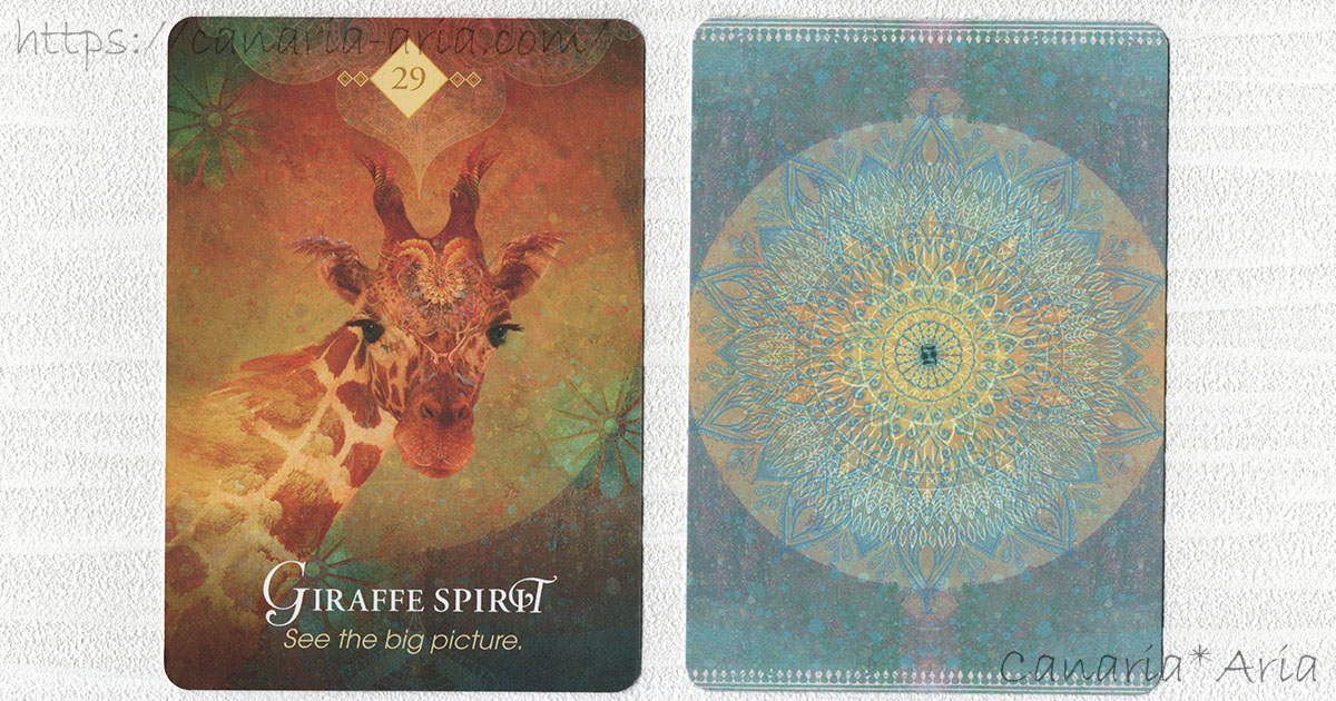 29.Giraffe SPIRIT（キリンのスピリット）スピリットアニマルオラクル のメッセージ | カナリア＊アリア