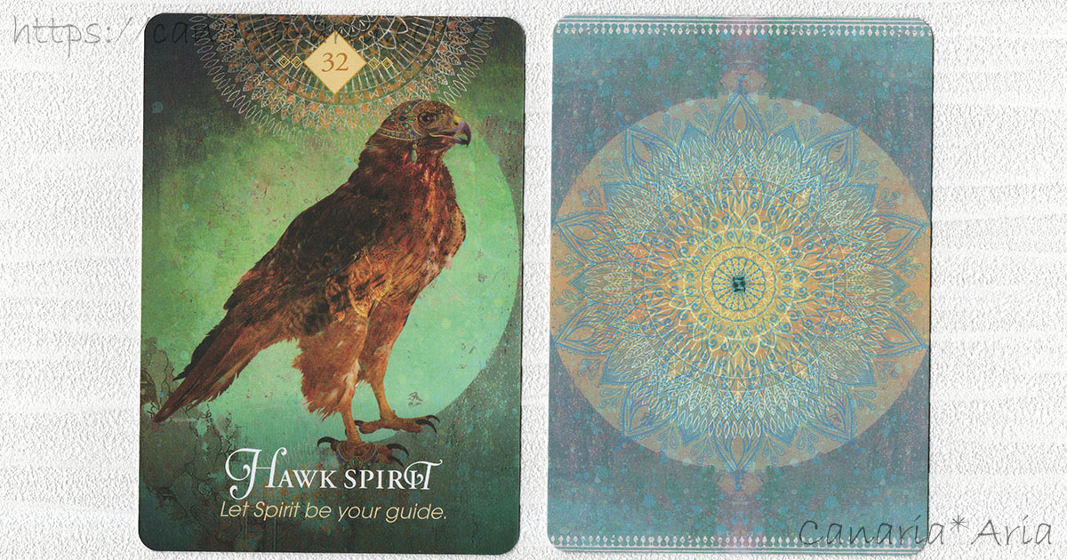 32.Hawk SPIRIT（タカのスピリット）スピリットアニマルオラクル のメッセージ | カナリア＊アリア