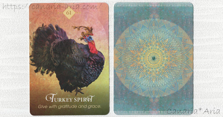 61.Turkey SPIRIT（七面鳥のスピリット）スピリットアニマルオラクル のメッセージ | カナリア＊アリア