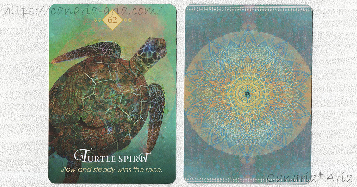 62.Turtle SPIRIT（カメのスピリット）スピリットアニマルオラクル のメッセージ | カナリア＊アリア